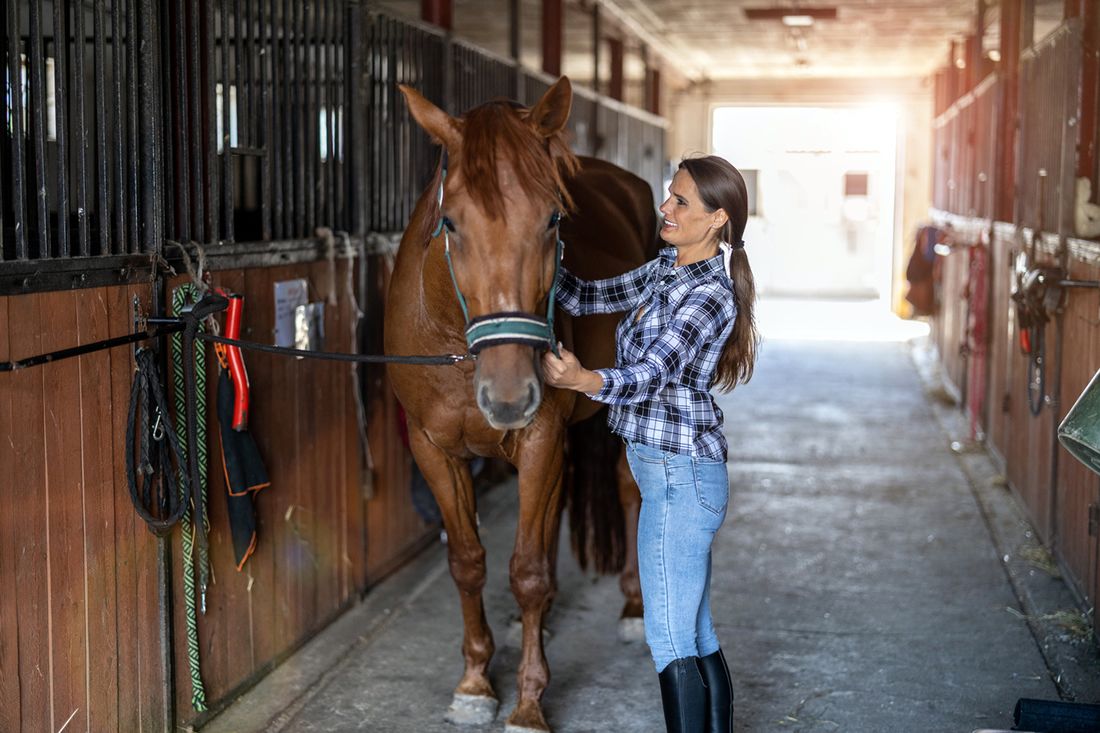 Basic Horse Care Guide for Beginners [Daily Checklist] — Tri County ...