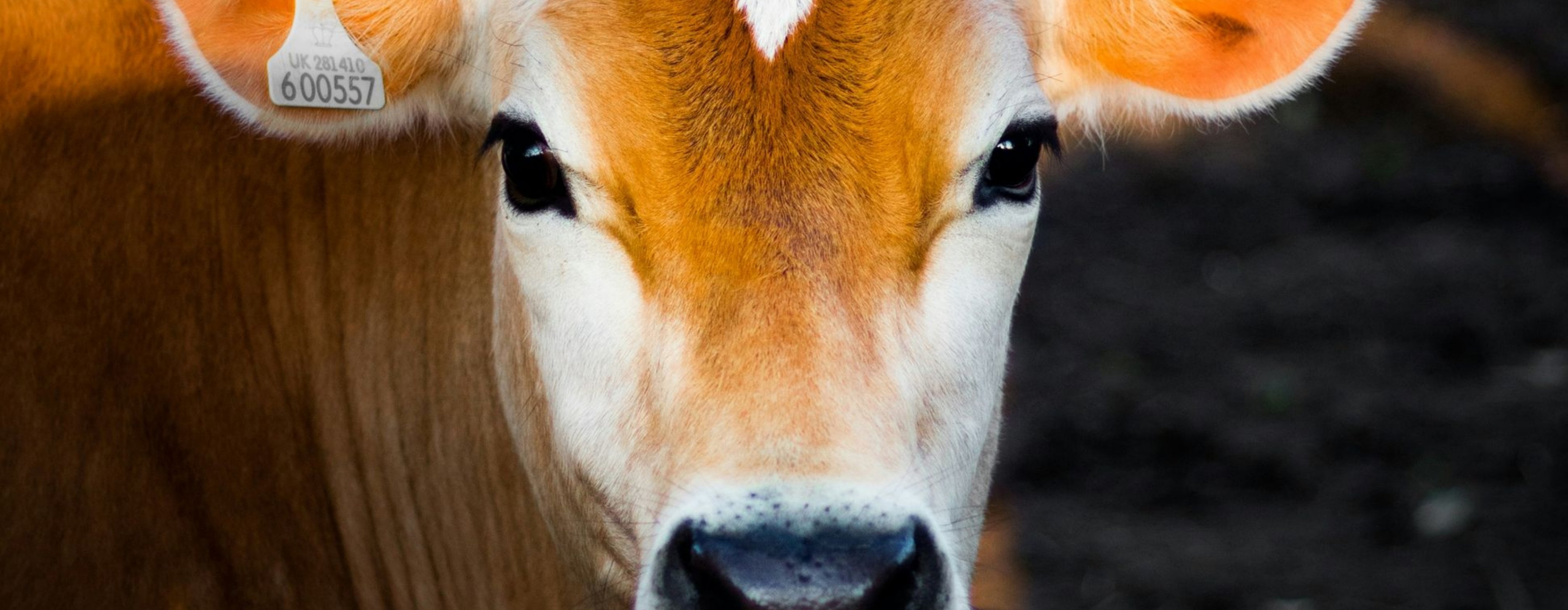 Animal Feed Store - New Era, MI | Tri County Feed Service, Inc