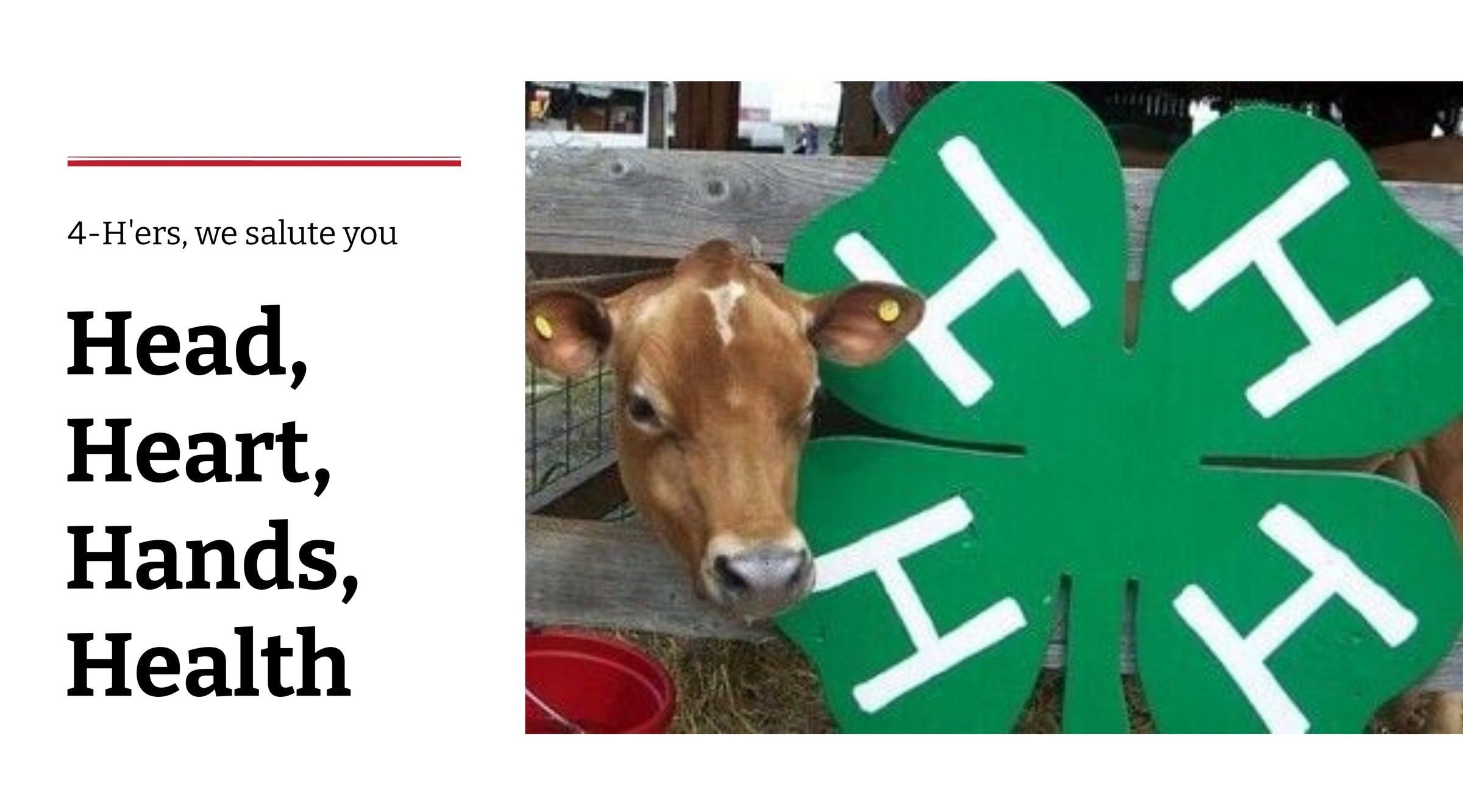 Animal Feed Store - New Era, MI | Tri County Feed Service, Inc