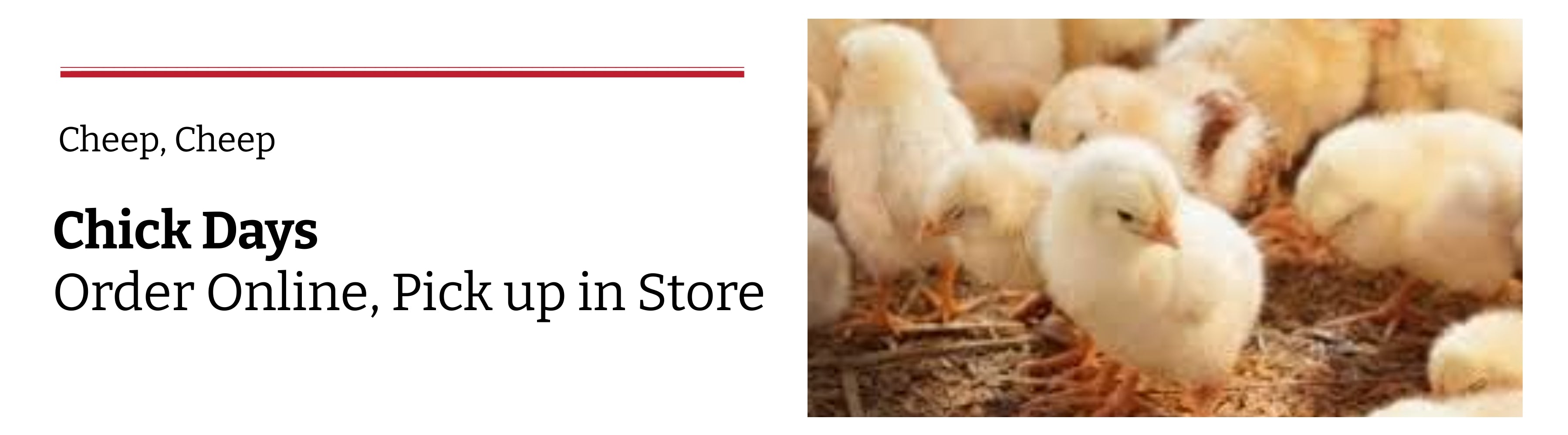 Animal Feed Store - New Era, MI | Tri County Feed Service, Inc
